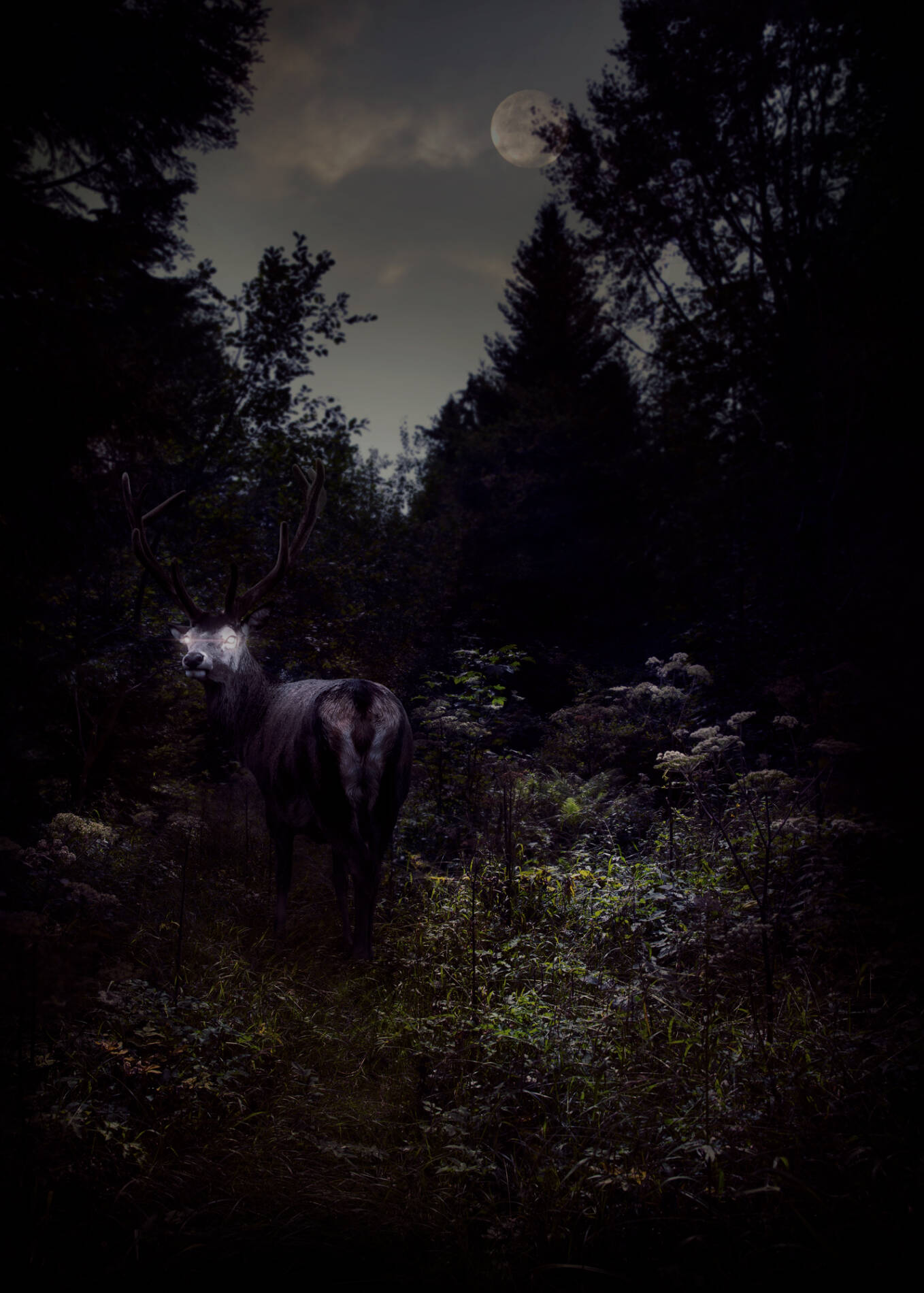 Parasomnia #5 by Audrey Piguet, dark Photography for sale, direct from ...