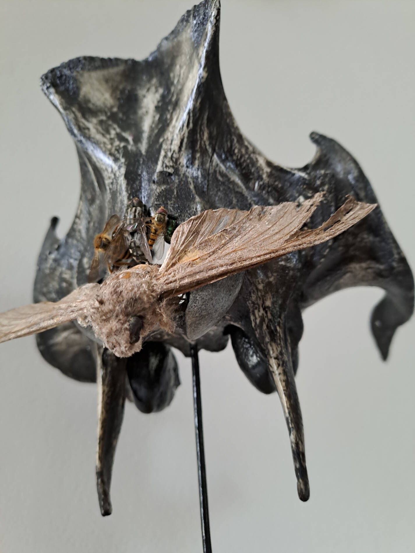 Insect queen by Serendipity Liche, dark Sculpture for sale, direct from ...